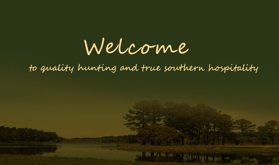 welcome - South Carolina, Cypress Creek Hunting Lodge