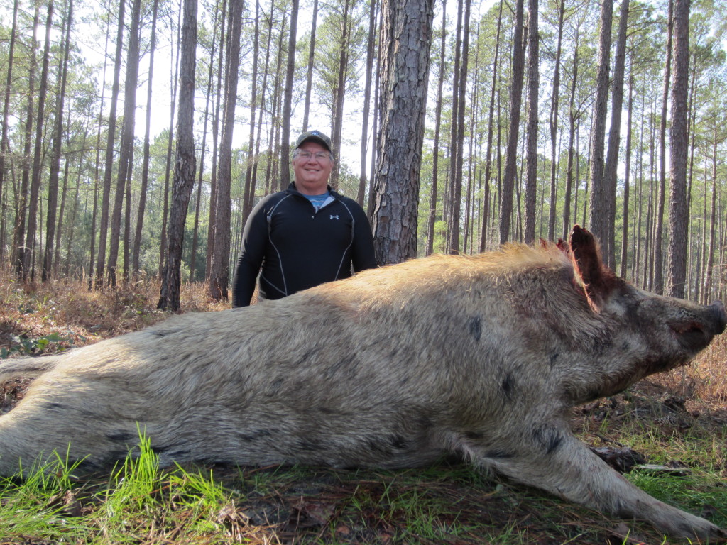 SC Hog Hunting Is Awesome!