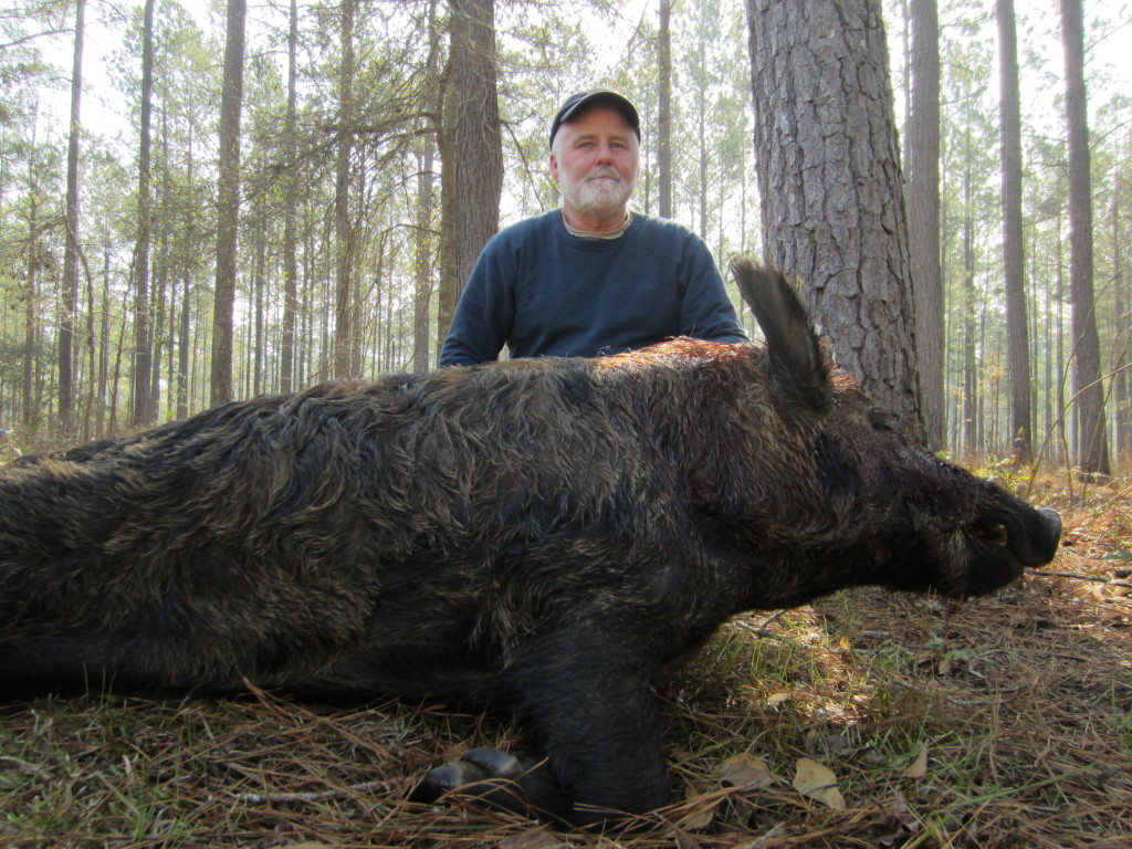 SC Hog Hunting Is Awesome!