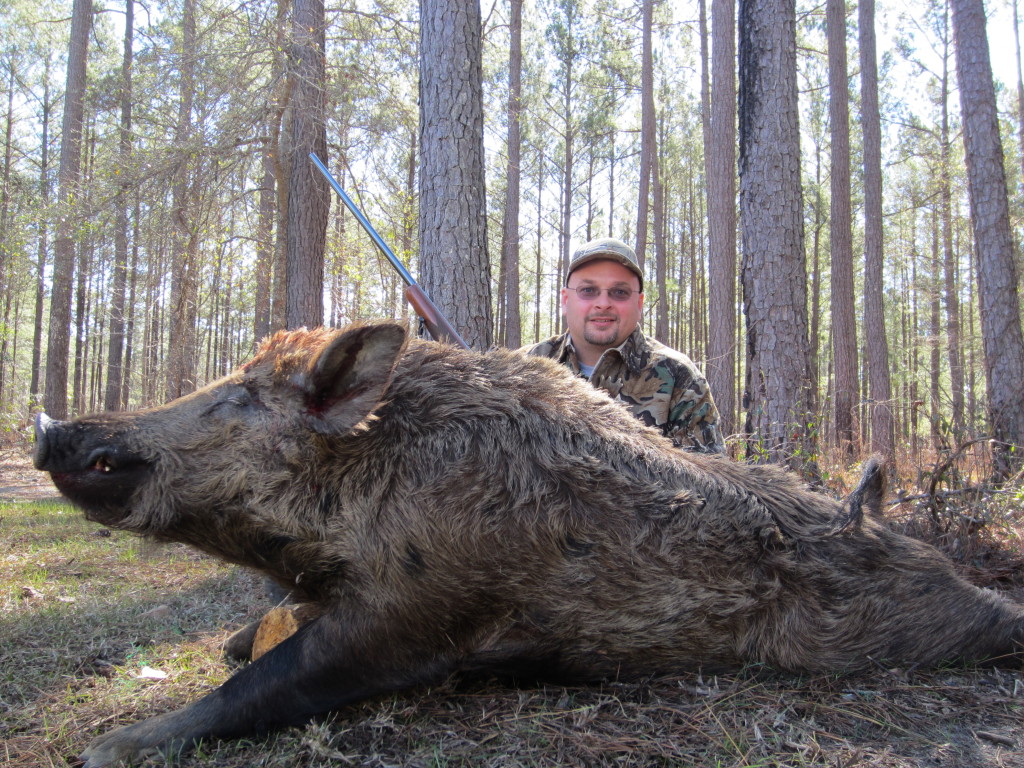 February is Hog Time.